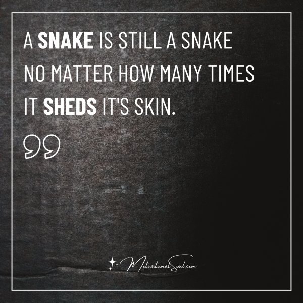 Quote: A SNAKE IS STILL A SNAKE NO MATTER HOW MANY TIMES IT ...