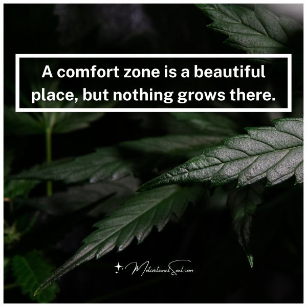 Quote: A comfort zone is a beautiful place, but nothing grows ...